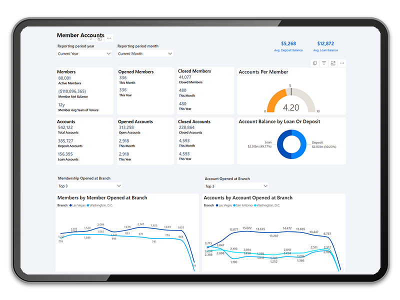 Rise Analytics | Performance Management | Credit Union Performance ...